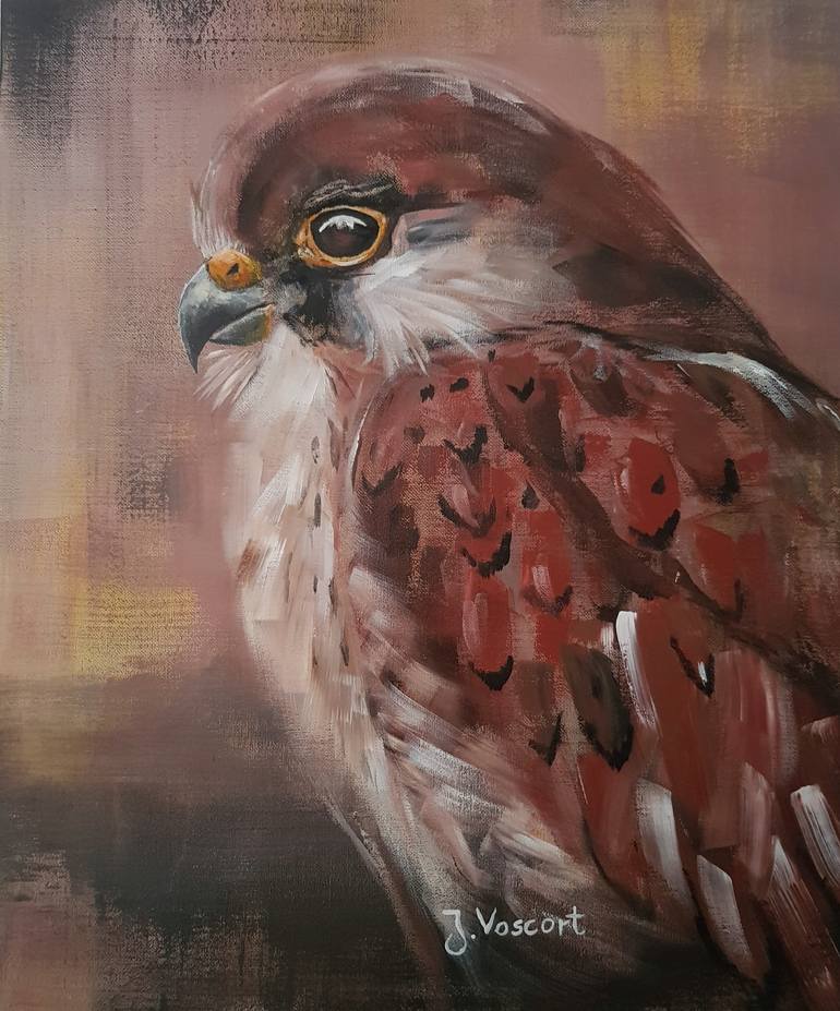 Birds of prey (falcon) Painting by Jana Voscort | Saatchi Art