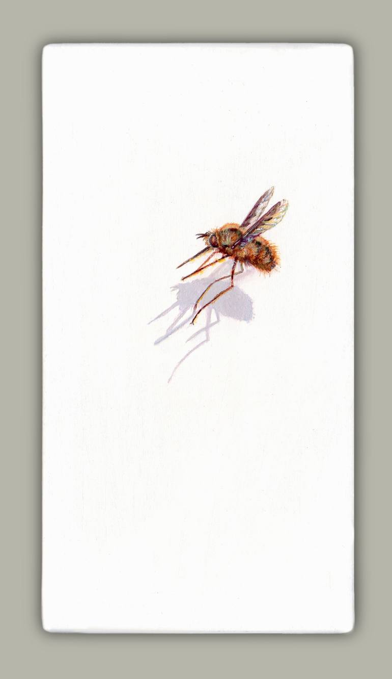 Sweet Spot - Large Bee fly Painting by Hazel Mountford | Saatchi Art