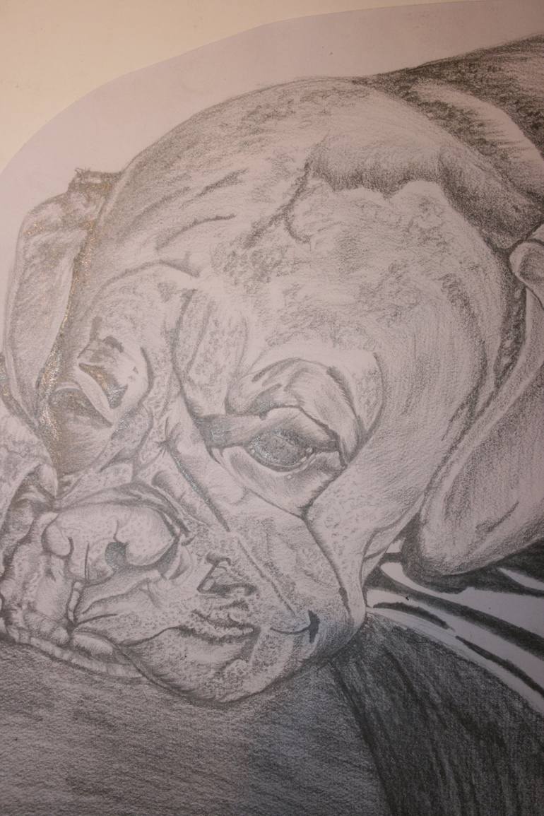 Rona Drawing by Amy Dulley | Saatchi Art