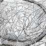 Branches Study 1 Drawing by Andrew Mitchell | Saatchi Art