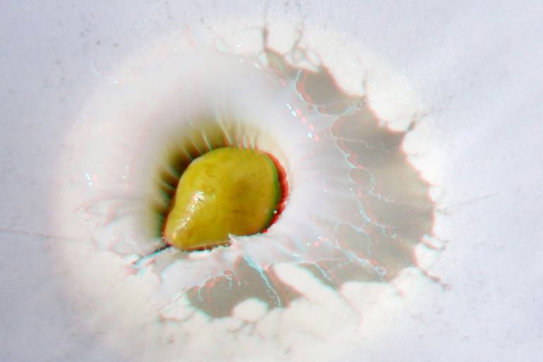 Pear splashing into milk 3D - Limited Edition of 7 Mixed Media by Frank ...