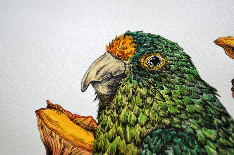 Pico canicularis Painting by Daniel Bahena | Saatchi Art