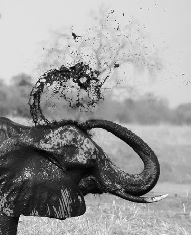 Peter Foster | Saatchi Art