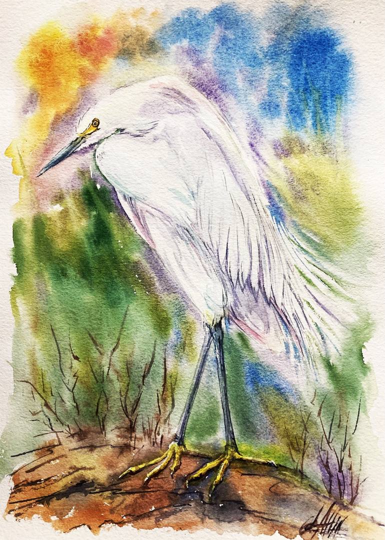 Snowy Egret Bird Watercolor Painting by Elizabeth Altin | Saatchi Art