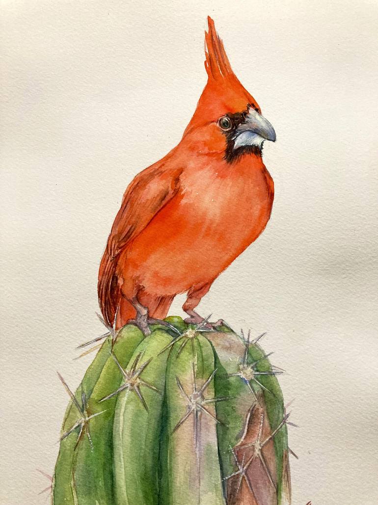 Northern Cardinal bird Painting by Elizabeth Altin | Saatchi Art