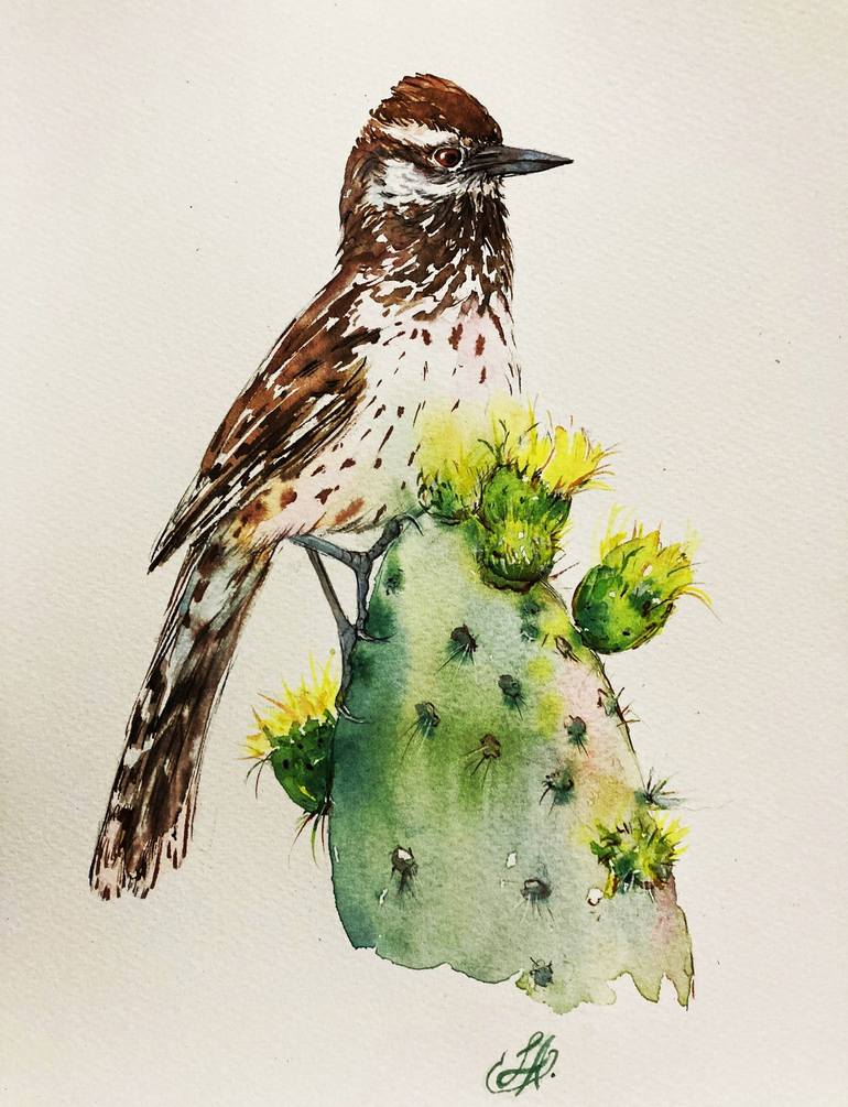 Cactus Wren - Desert Sentinel Painting by Elizabeth Altin | Saatchi Art