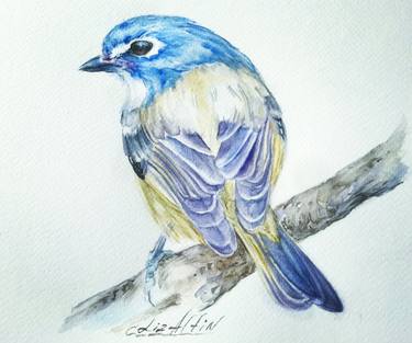 Elizabeth Altin Artworks | Saatchi Art