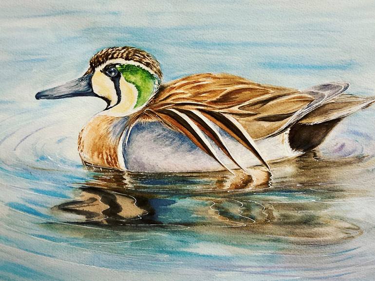 Duck Watercolor painting Original Art Painting by Elizabeth Altin ...