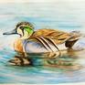 Duck Watercolor painting Original Art Painting by Elizabeth Altin ...
