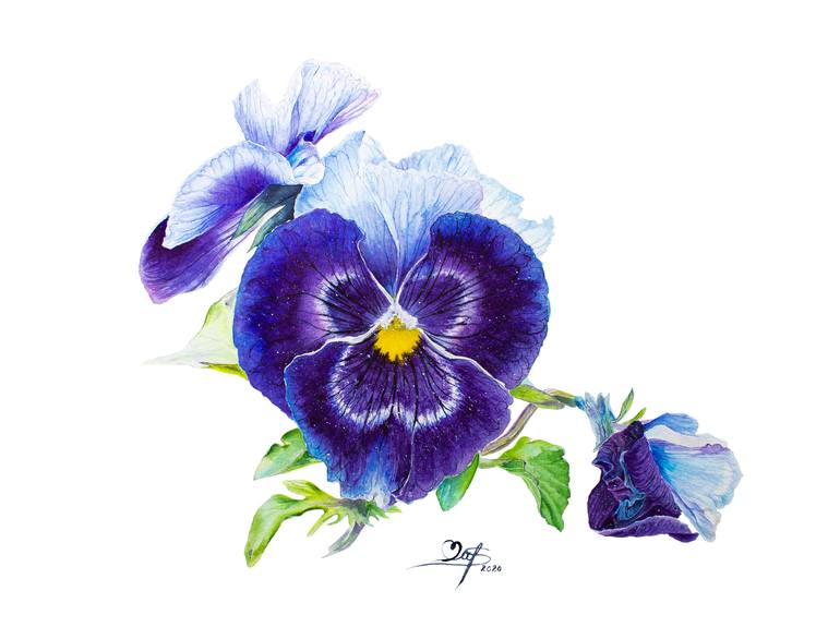 Blue Pansy Flower Painting by Natalia Maksakova | Saatchi Art