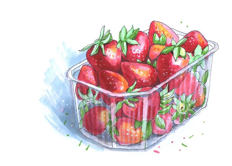 Sketch of juicy ripe strawberries in a package. Drawing by Olga Usova ...