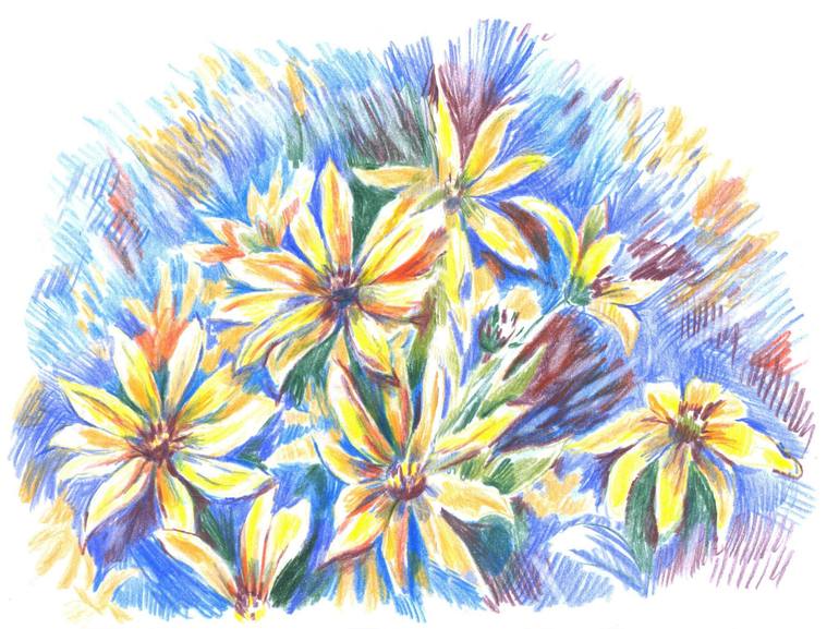 Botanical drawing of yellow flowers Drawing by Olga Usova | Saatchi Art