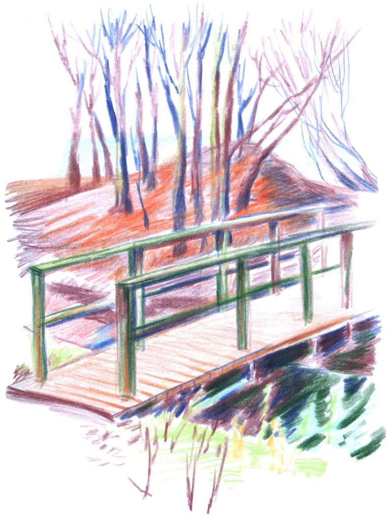 The graphic landscape of the bridge in the forest Drawing by Olga Usova ...