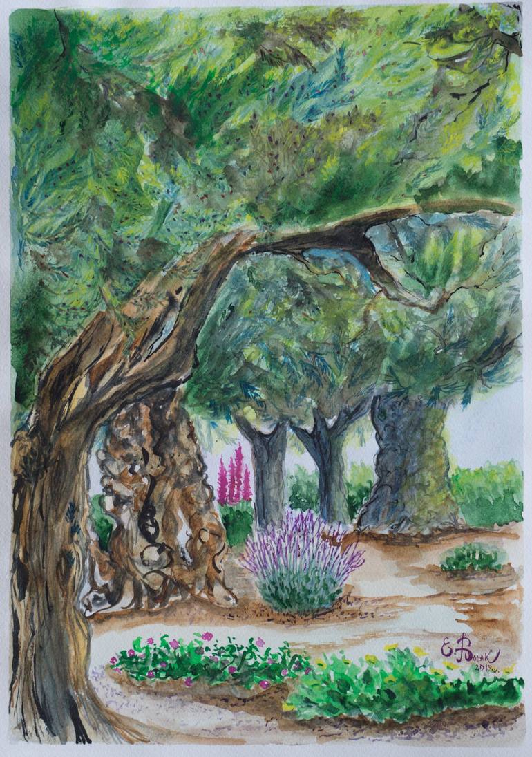 Olive grove Drawing by Ekaterina Bosak | Saatchi Art