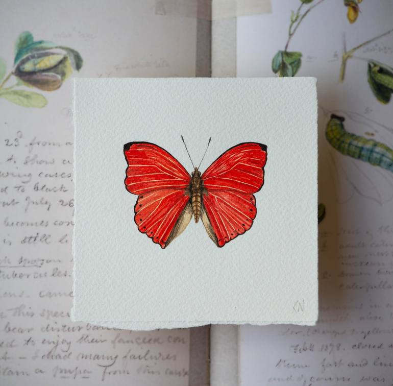 Life-size common red glider butterfly Painting by Katie Nagornyi ...