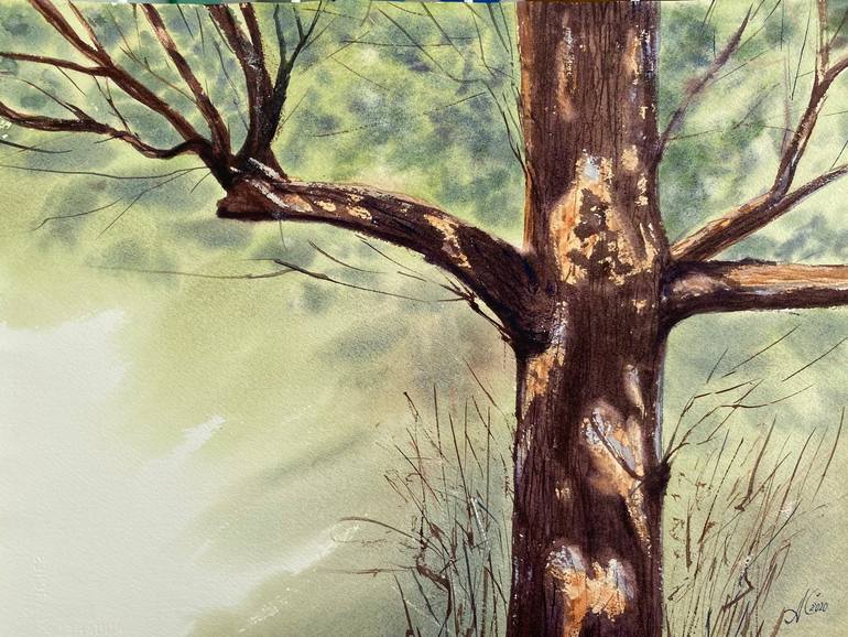 Tree Portrait Painting by Alla Semenova | Saatchi Art