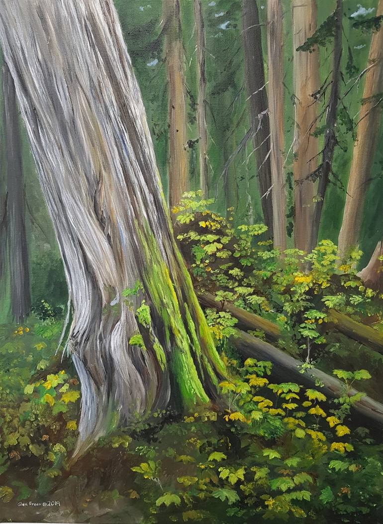 Ancient Forest Painting by Glen Frear | Saatchi Art