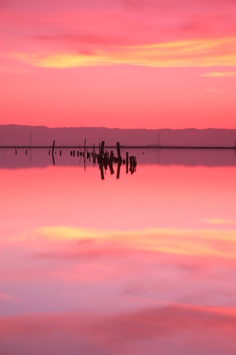 Pink Tranquility - Limited Edition of 15 Photography by Artscape Connex ...