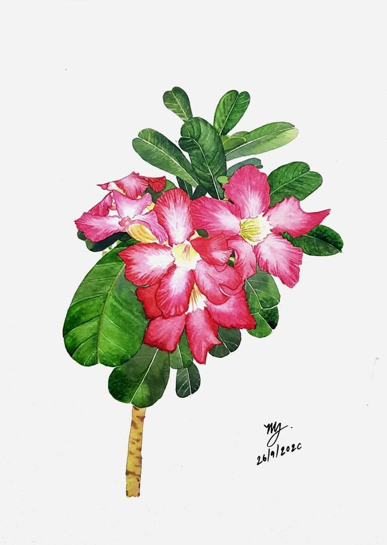 Watercolor painting of adenium flower Painting by wilasinee yoschote ...