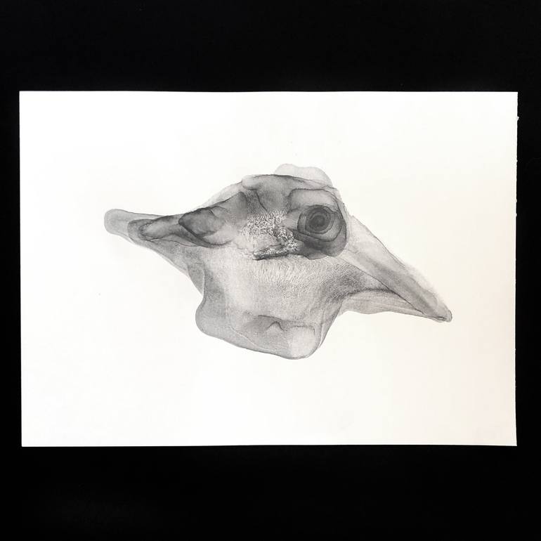 Hadaikum #I.85/05 Drawing by Eileen O Rourke | Saatchi Art