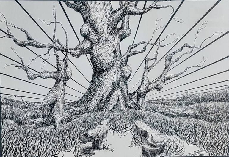 Old Oak Drawing by Mihai Man | Saatchi Art