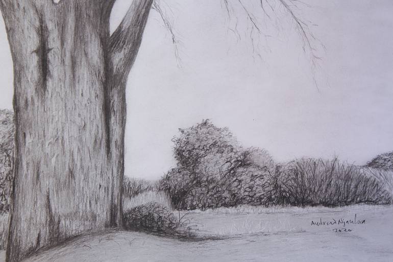 Baobab Tree Drawing by Andrew Njamba | Saatchi Art