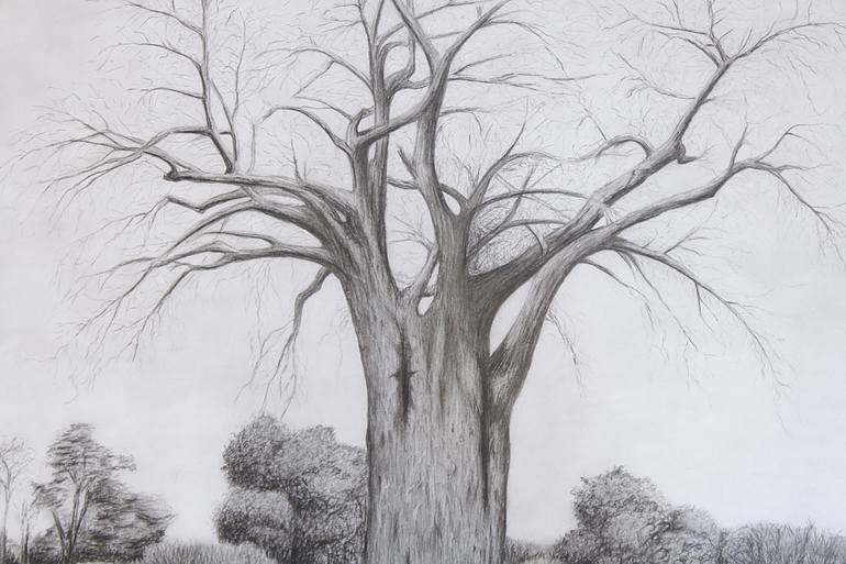 Baobab Tree Drawing by Andrew Njamba | Saatchi Art