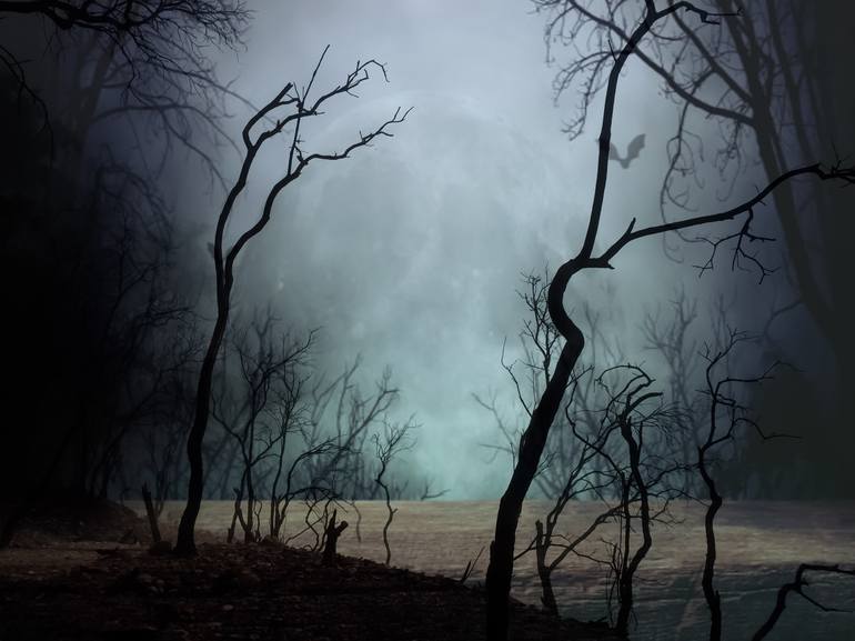 Abandoned Forest in Grunge Effects - Limited Edition of 10 Photography ...