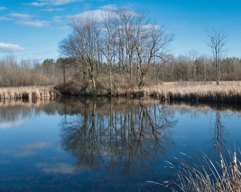 The Reflecting Pond Photography by Tom Drew | Saatchi Art