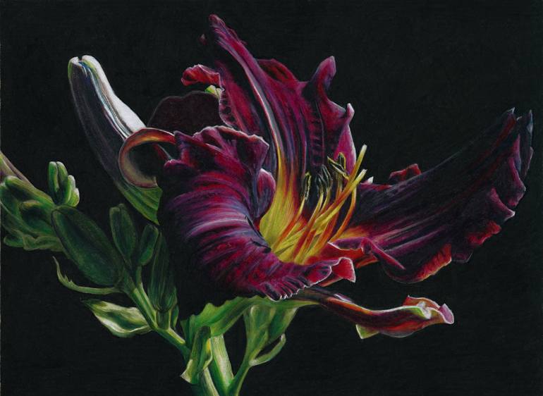 Rising Hope Drawing by Coco the Louder | Saatchi Art