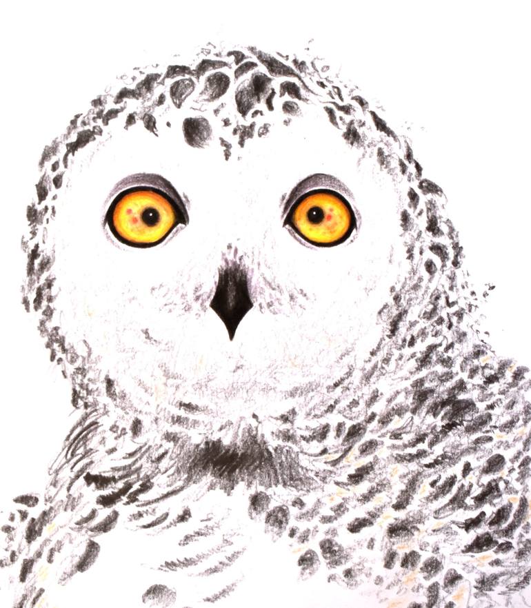 The night watch Drawing by Wincy Xavier | Saatchi Art