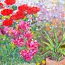 corner of the garden Painting by Elena Stauffer | Saatchi Art