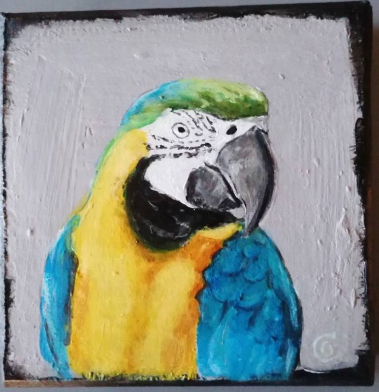 Pretty parakeet Painting by Christine Boniface | Saatchi Art