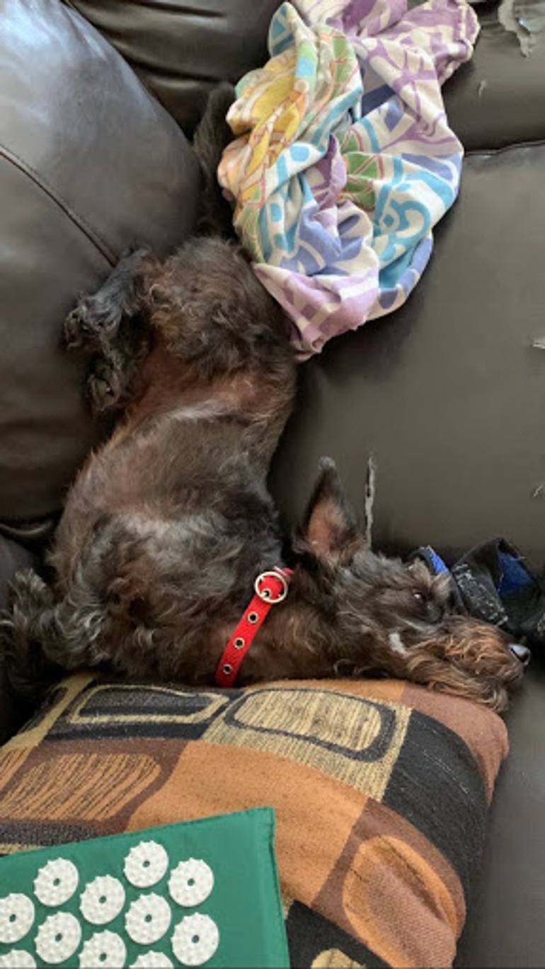 TEST a curvy dooze post lamb destuffing Photography by Lindsey Scott ...