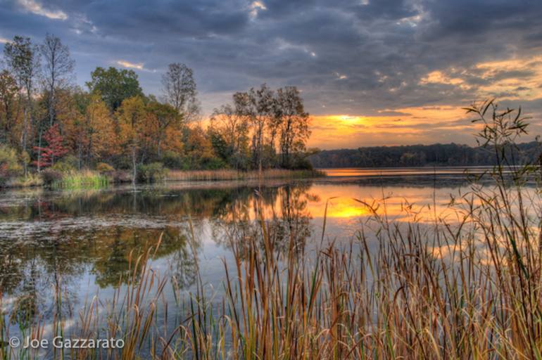 Morning Glory Photography by Joe Gazzarato | Saatchi Art