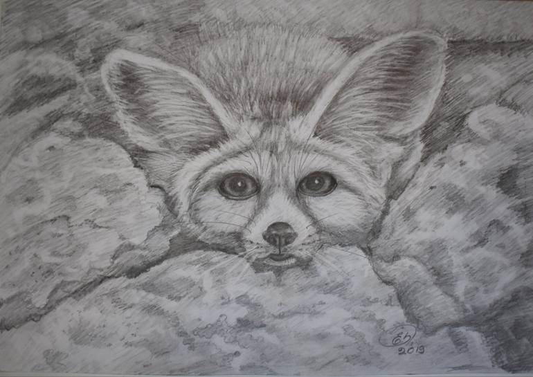Fenech Drawing by Bogdalena Bah | Saatchi Art