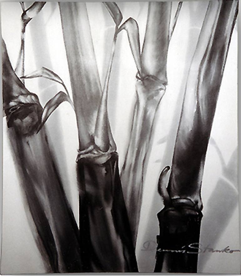 Bambus Painting by Dennis Stanko | Saatchi Art