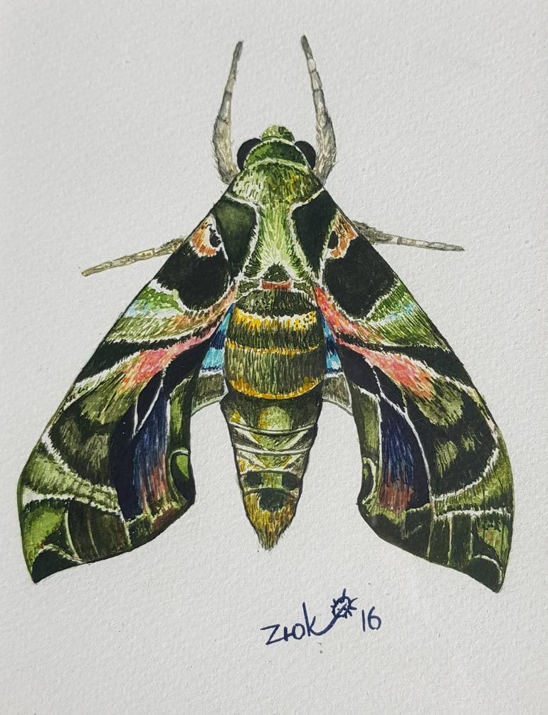 An Oleander hawk-moth Painting by Irada Gezalova | Saatchi Art