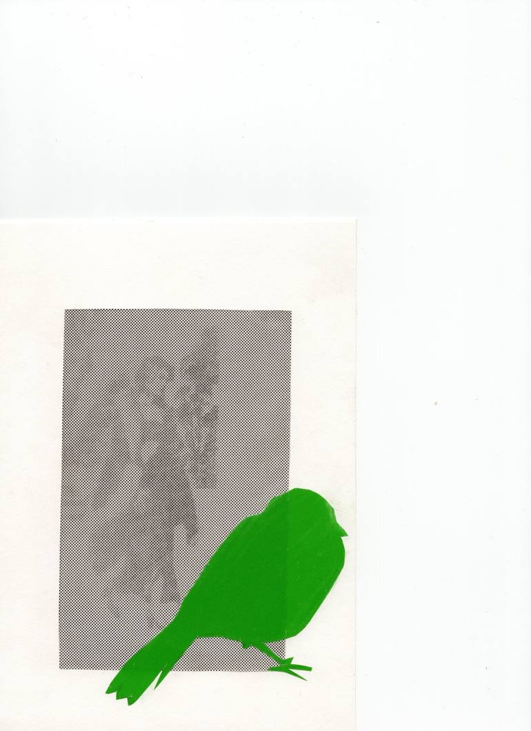 Birds Collage by Ana Sindik | Saatchi Art