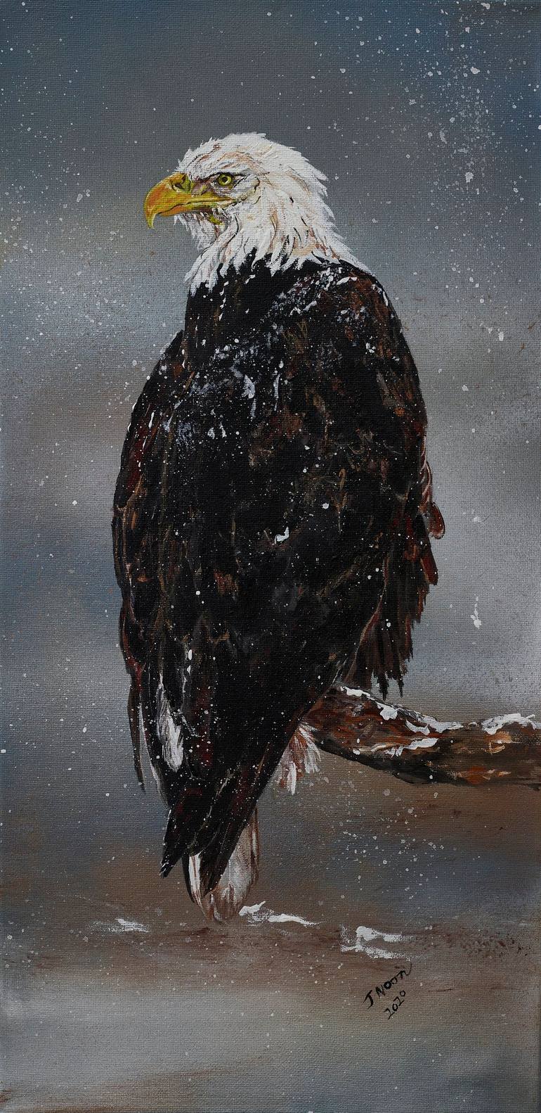 Eagle on Branch Painting by Joyce Noon | Saatchi Art