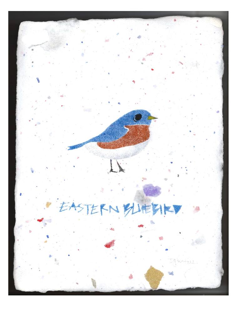 Eastern Bluebird, three of four - Limited Edition of 4 Printmaking by ...