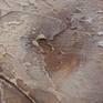 Parched Painting by Rachel Hayhurst | Saatchi Art
