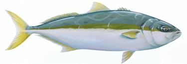 Jenny Berry | Saatchi Art