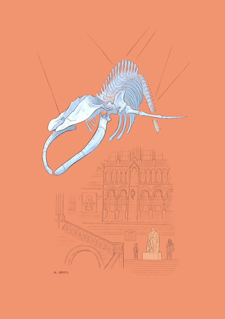 'Hope' at the National History Museum Drawing by Mike Green | Saatchi Art