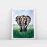 Elephant Painting by Olena Horbatenko | Saatchi Art