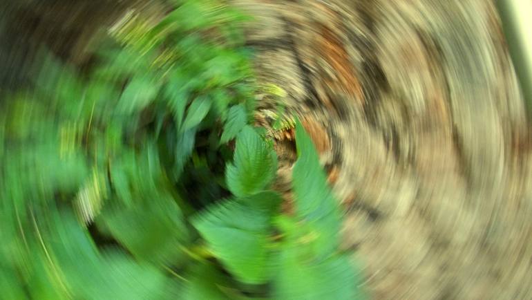 Green Vertigo Photography by Rodrigo Pereira | Saatchi Art