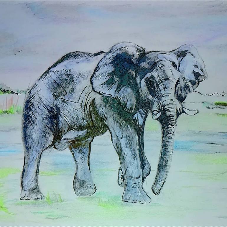 Elephant Drawing by Katrina Tuohy | Saatchi Art