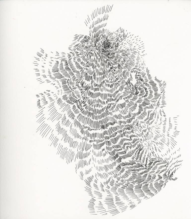 . Drawing by Saskia Durand-Raucher | Saatchi Art