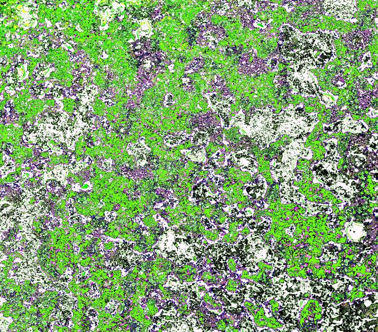 Abandoned Buildings Study #6 Photography by Matt Anker | Saatchi Art