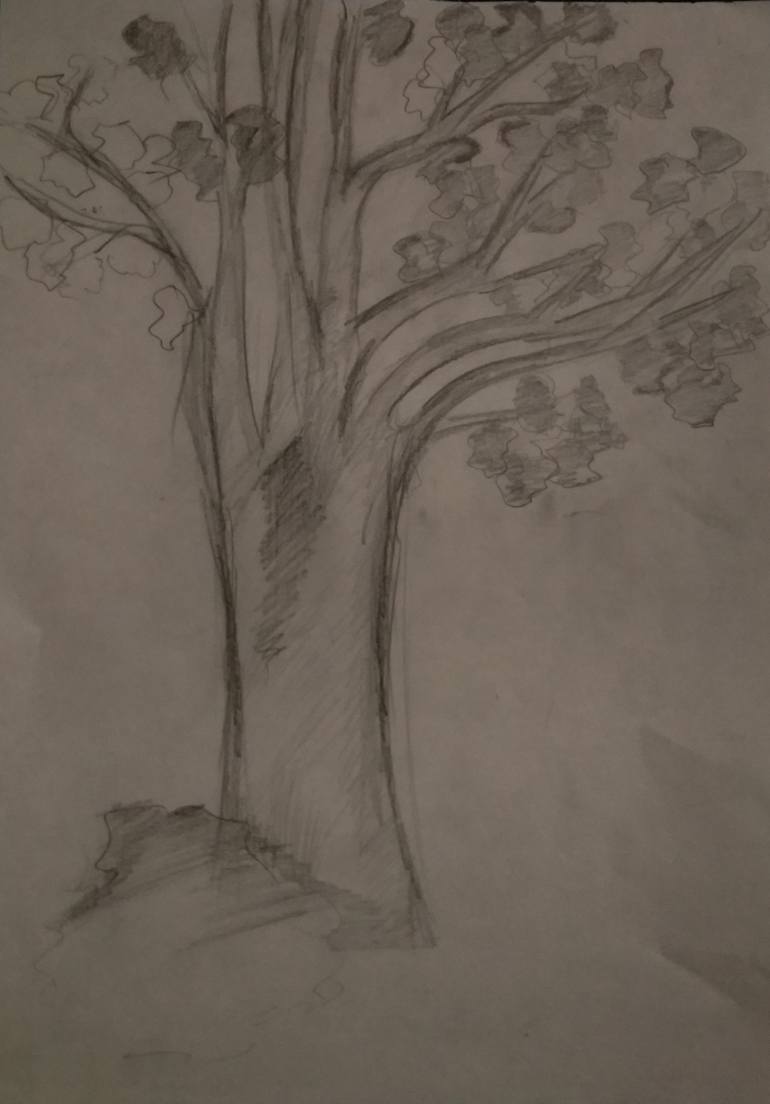 Tree Drawing by Alexandra Novikova | Saatchi Art